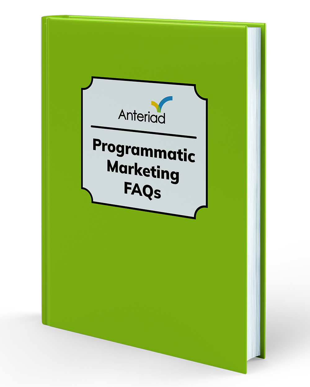 Anteriad FAQ & B2B Programmatic Marketing Campaigns 101
