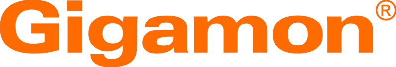 Gigamon & Anteriad: 80% reduced cost per lead and ABM campaigns